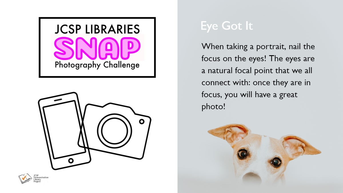 Eye-Got-It – JCSP Libraries